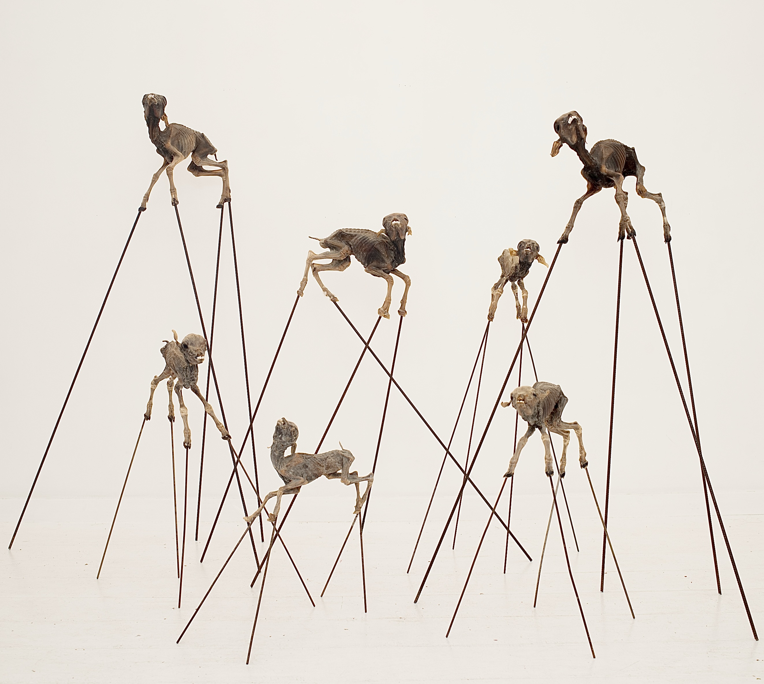 Half-life on steroids